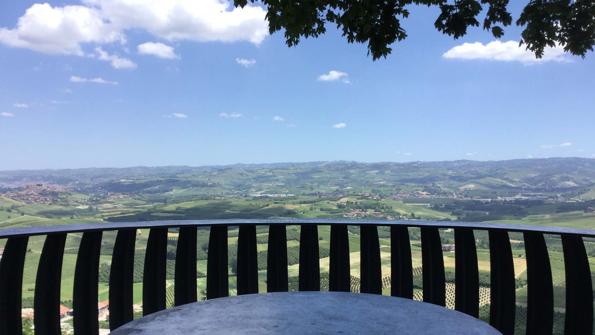 I migliori vini del Piemonte e non solo | Le 3 Cantine